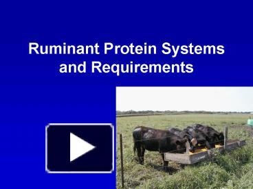 PPT – Ruminant Protein Systems and Requirements PowerPoint presentation ...