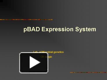 pBAD Expression System presentation | free to view