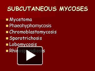 SUBCUTANEOUS MYCOSES presentation | free to view