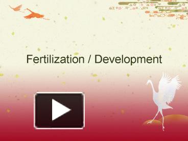 PPT – Fertilization Development PowerPoint presentation | free to view ...