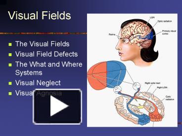 Visual Fields presentation | free to view