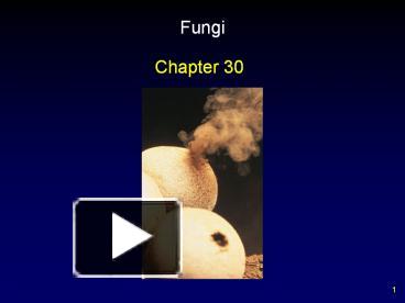 Fungi presentation | free to view