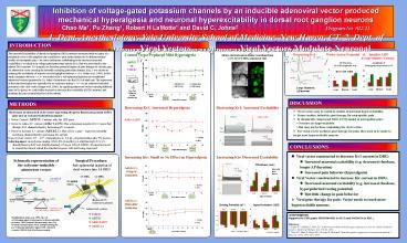 PPT – 36x60 poster template PowerPoint presentation | free to view - id ...