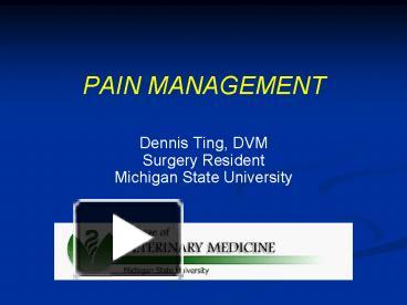 PPT – PAIN MANAGEMENT PowerPoint presentation | free to view - id ...