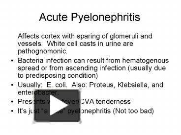 Acute Pyelonephritis presentation | free to view