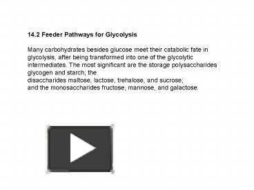 14'2 Feeder Pathways for Glycolysis presentation | free to view