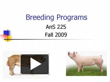 Breeding Programs presentation | free to view