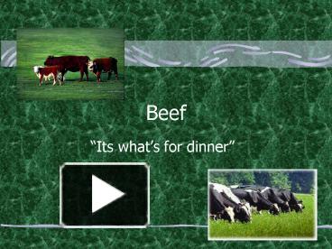 Beef presentation | free to view
