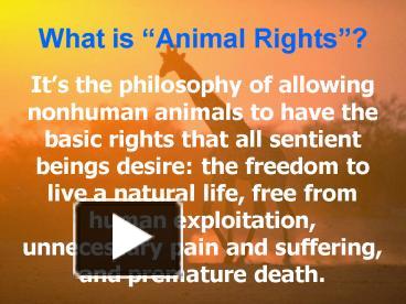 What is Animal Rights presentation | free to view