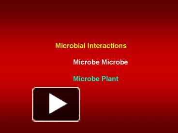 Microbial Interactions presentation | free to view
