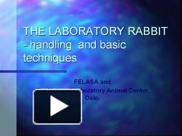 THE LABORATORY RABBIT handling and basic techniques presentation | free ...