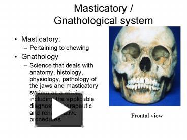 PPT – Masticatory Gnathological system PowerPoint presentation | free ...