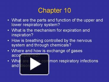 PPT – What are the parts and function of the upper and lower ...