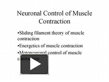 PPT – Neuronal Control of Muscle Contraction PowerPoint presentation ...