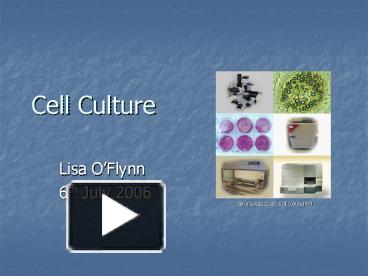 Cell Culture presentation | free to view