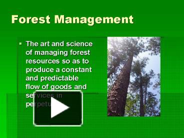 Forest Management presentation | free to view