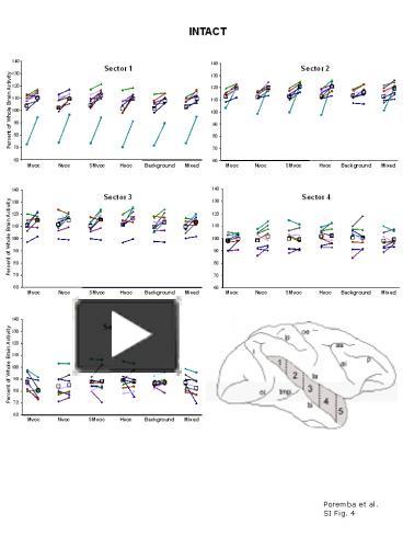 PPT – Poremba et al. PowerPoint presentation | free to download - id ...