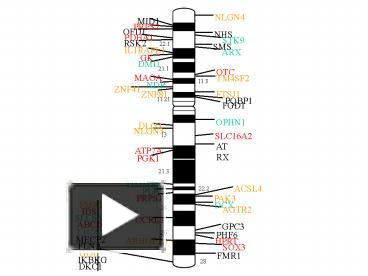 IKBKG presentation | free to view