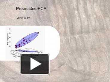 PPT – Procrustes PCA PowerPoint presentation | free to view - id ...