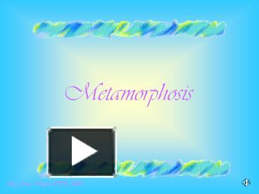 PPT – Metamorphosis PowerPoint presentation | free to view - id: 1bdad6 ...