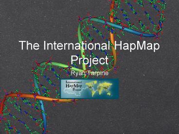 The International HapMap Project presentation | free to view