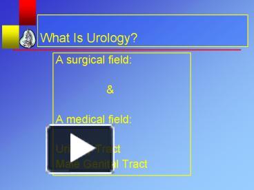PPT – What Is Urology PowerPoint presentation | free to view - id ...