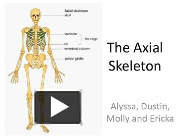 The Axial Skeleton presentation | free to view