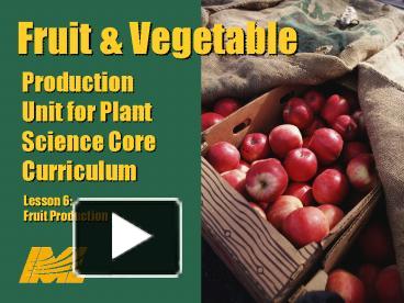 Fruit presentation | free to view