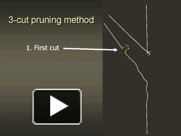 PPT – Pruning PowerPoint presentation | free to view - id: 1c11dd-NTEyM