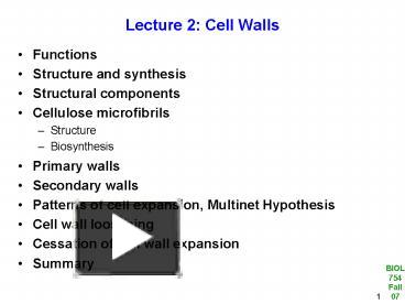 PPT – Lecture 2: Cell Walls PowerPoint presentation | free to view - id ...