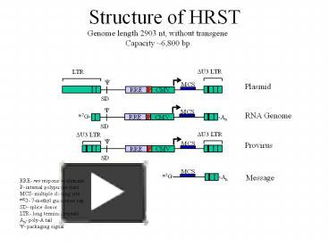 PPT – Structure of HRST PowerPoint presentation | free to view - id ...