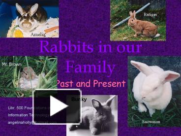 PPT – Rabbits in our Family PowerPoint presentation | free to view - id ...