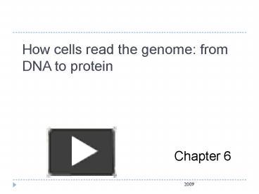 PPT – How cells read the genome: from DNA to protein PowerPoint ...