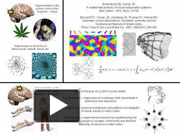 PPT – geometric visual hallucinations, euclidean symmetry and the ...