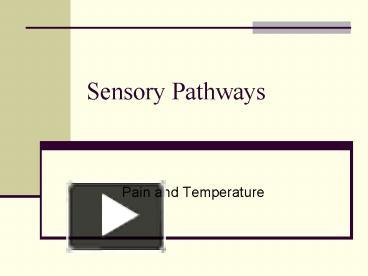 Sensory Pathways presentation | free to view