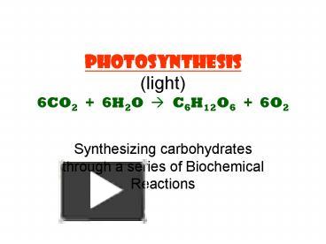 PPT – Photosynthesis light 6CO2 6H2O C6H12O6 6O2 PowerPoint ...