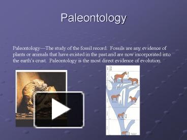 Paleontology presentation | free to view