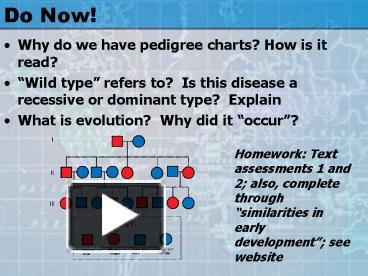 Do Now presentation | free to view