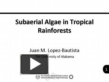 Subaerial Algae in Tropical Rainforests presentation | free to view