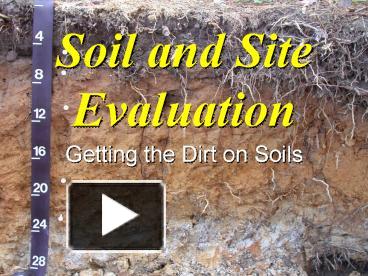 PPT – Soil and Site Evaluation PowerPoint presentation | free to view ...