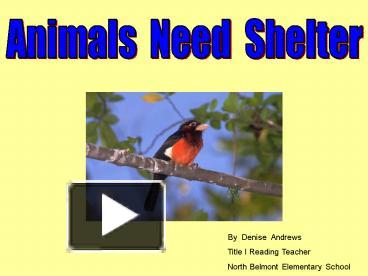 Animals Need Shelter presentation | free to view