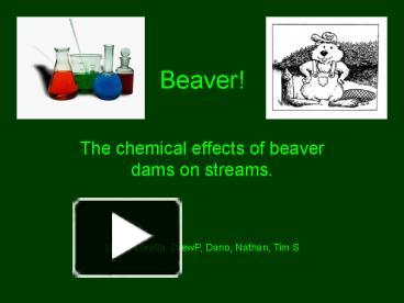 Beaver presentation | free to view