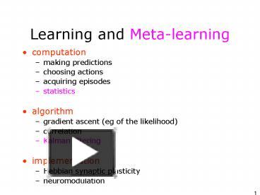 PPT – Learning and Metalearning PowerPoint presentation | free to view ...