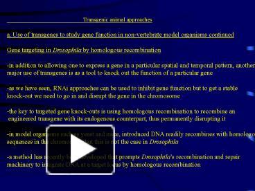 PPT – Transgenic animal approaches PowerPoint presentation | free to ...