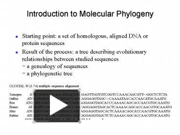 Introduction to Molecular Phylogeny presentation | free to download