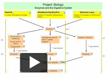 PPT – Project: Biology Enzymes and the Digestive System PowerPoint ...
