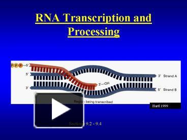 PPT – RNA Transcription and Processing PowerPoint presentation | free ...