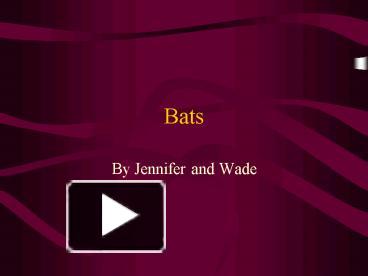 PPT – Bats PowerPoint presentation | free to view - id: 1d928-NTk2Y