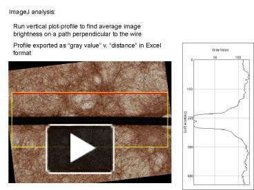 ImageJ analysis: presentation | free to view