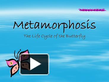 PPT – Metamorphosis PowerPoint presentation | free to view - id: 1da86 ...